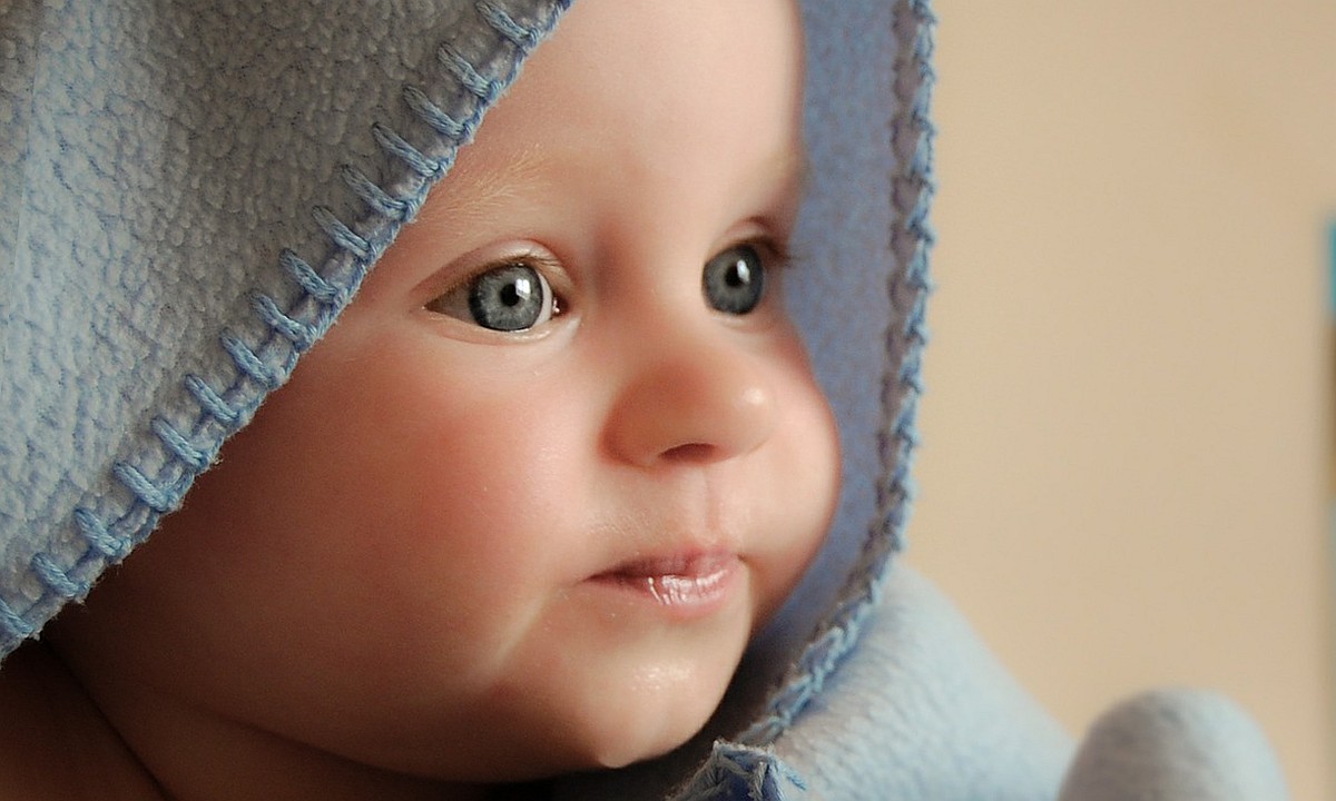 Fertility Center & Applied Genetics Of Florida – Designated as Top ...